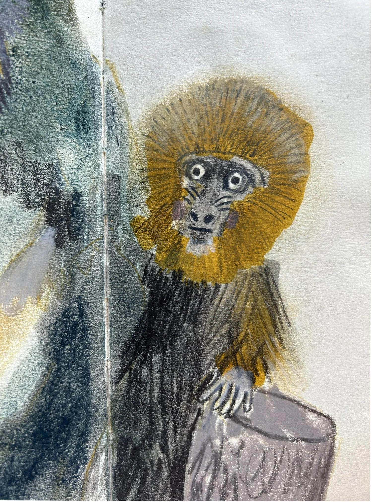 ANIMALS — Sarah Dyer