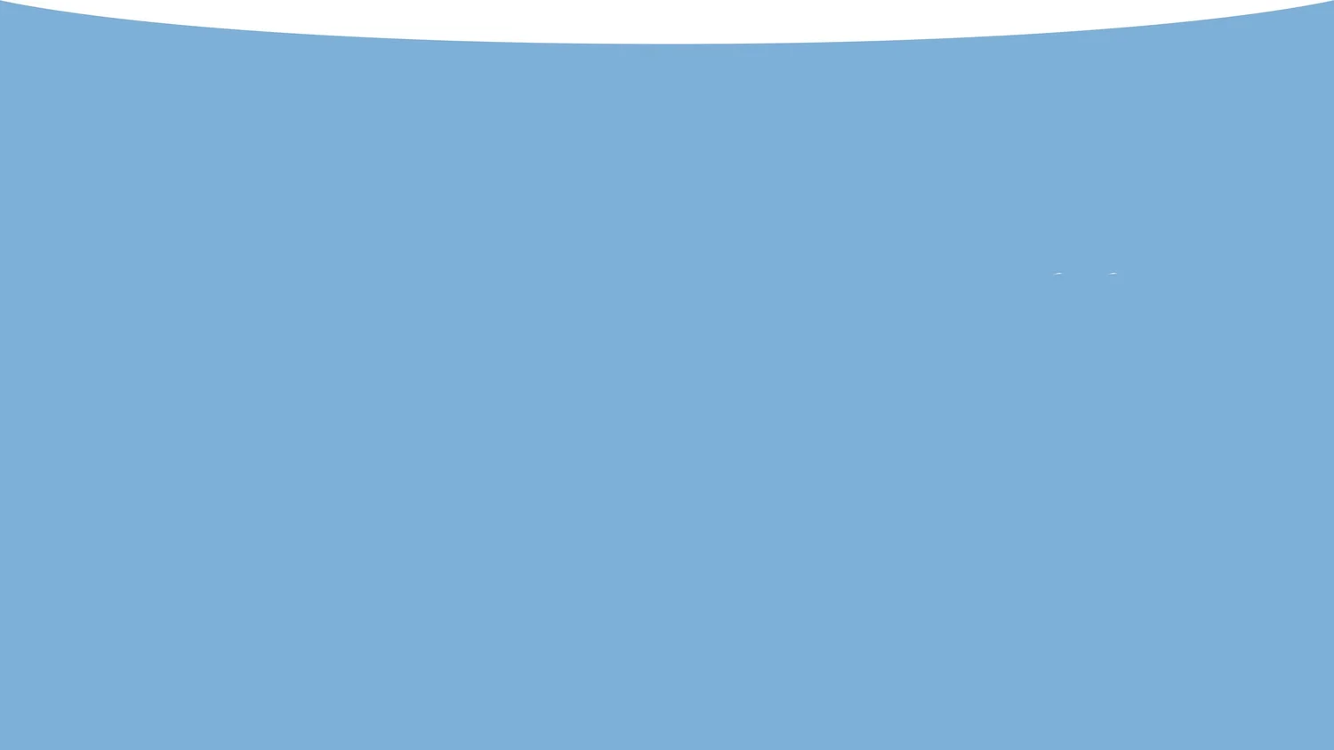Treatment Options — Mirror Inc