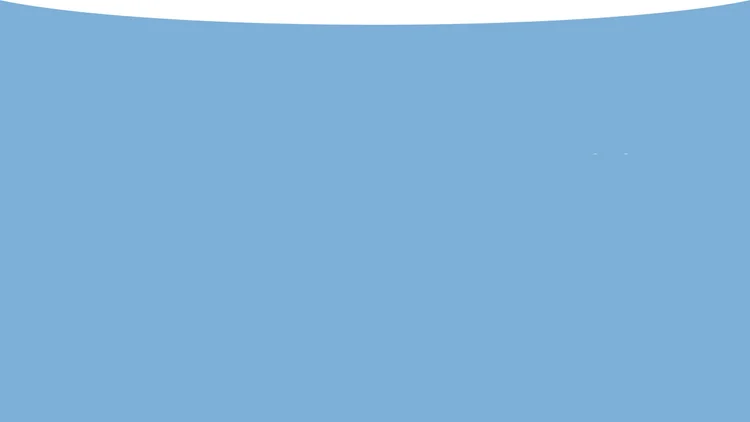 Treatment Options — Mirror Inc