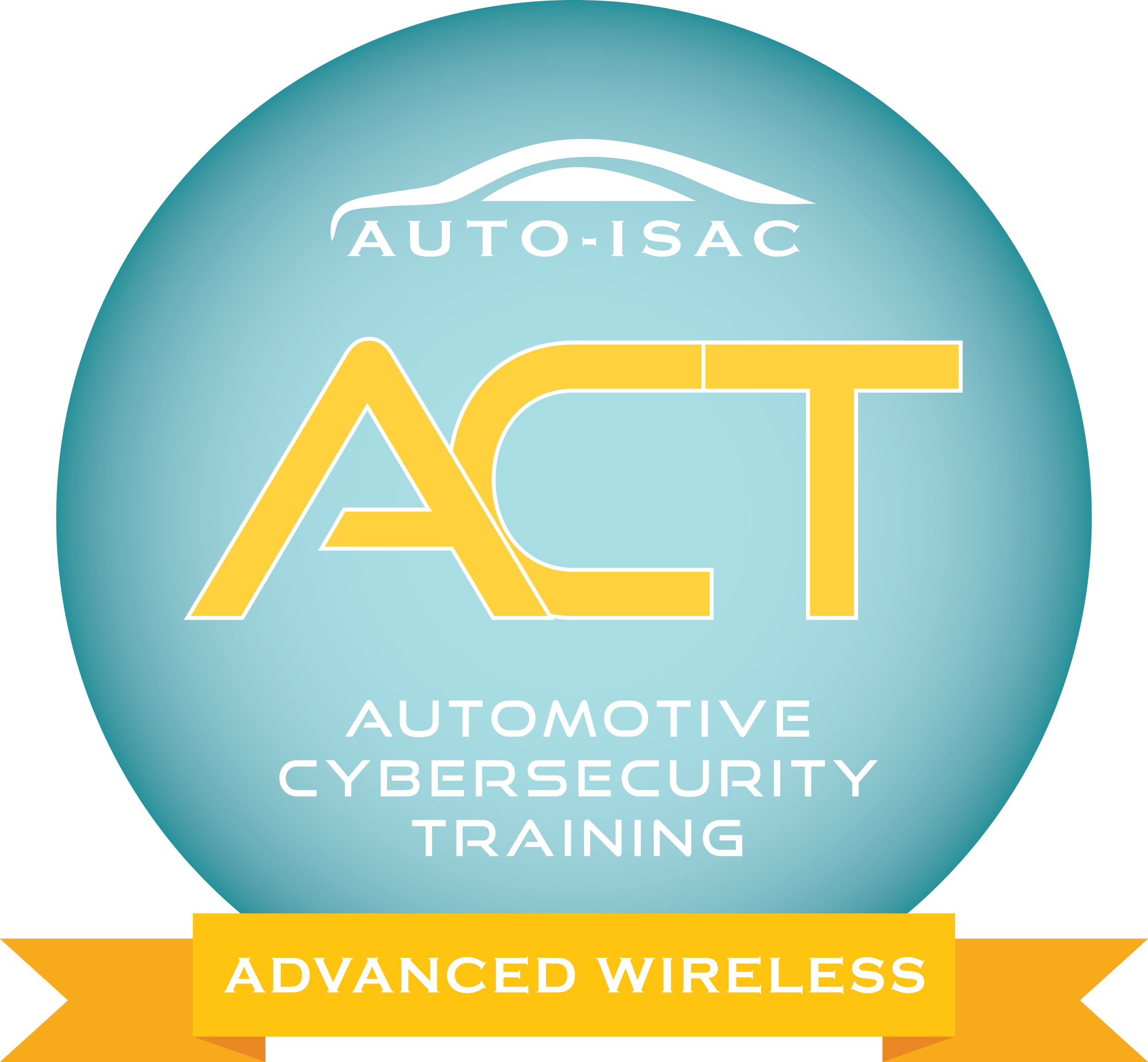 Certified Automotive Cybersecurity Engineer (CASE) Certification ...