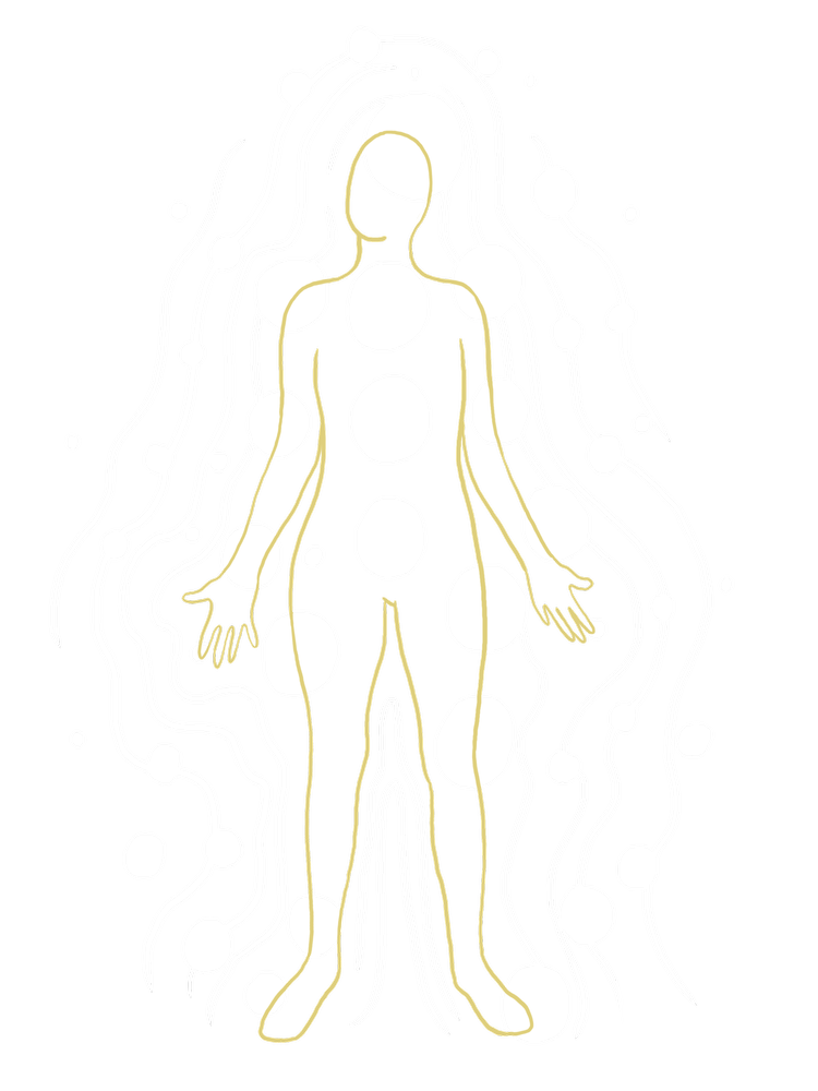 Feelings Wheel — Embodied Movement