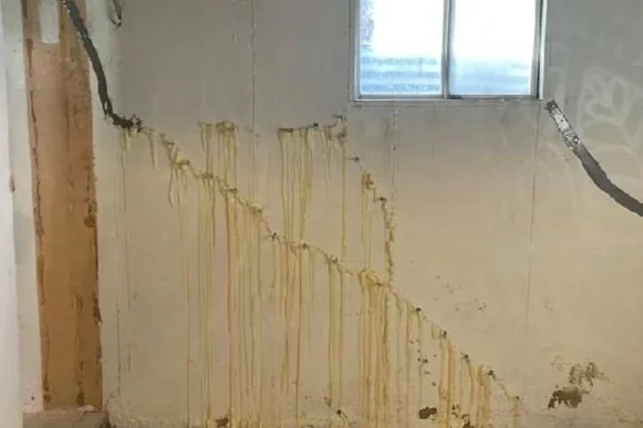 Foundation Crack Repair Services