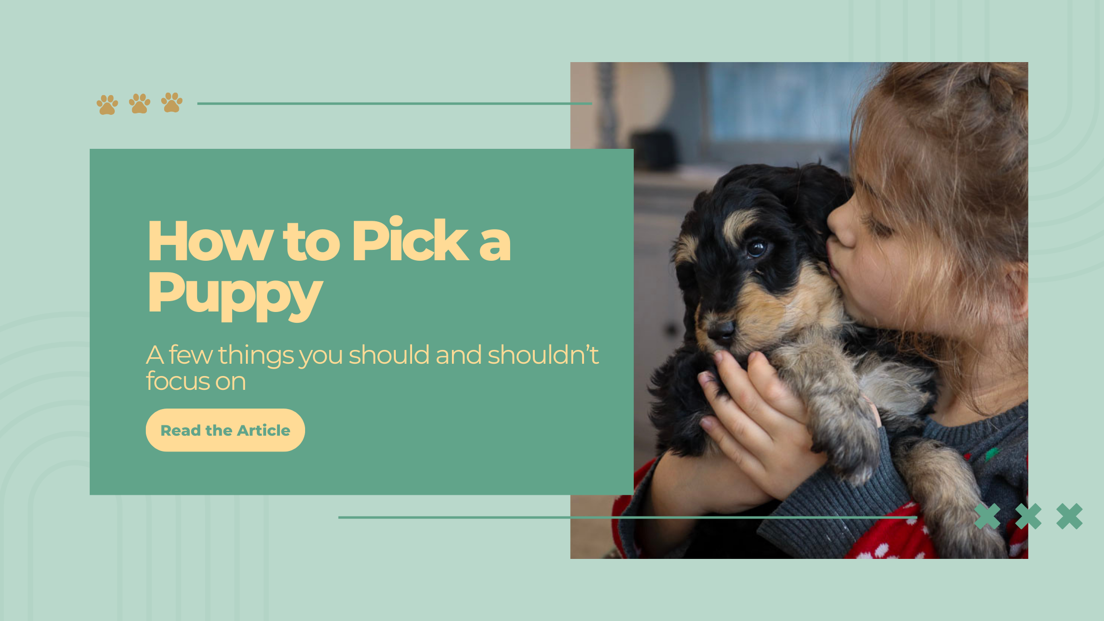 How to Pick a Puppy (some surprising things to focus on) — Joley Aire