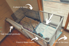 How to Potty Train Your Puppy from Start to Finish — Joley Aire