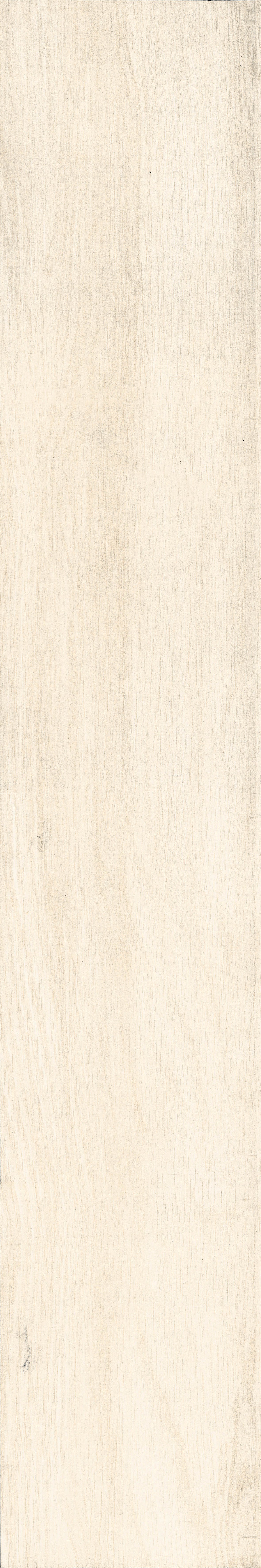 ATELIER MAPLE — Elina Ceramics