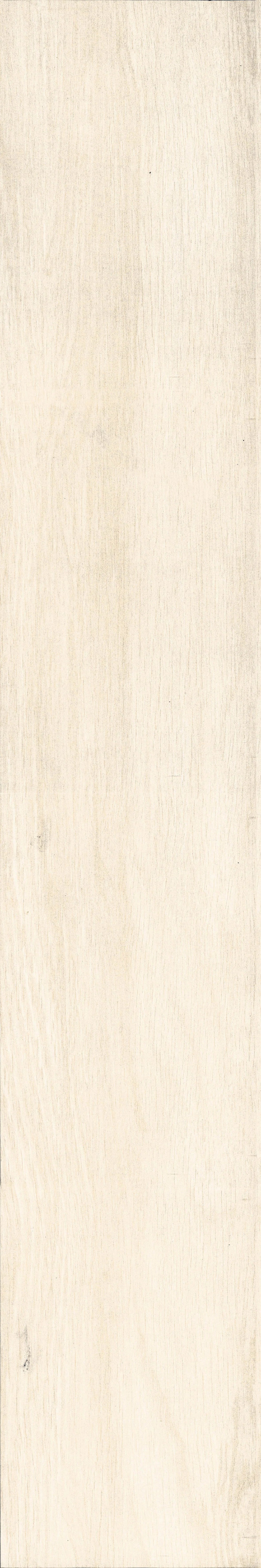 ATELIER MAPLE — Elina Ceramics