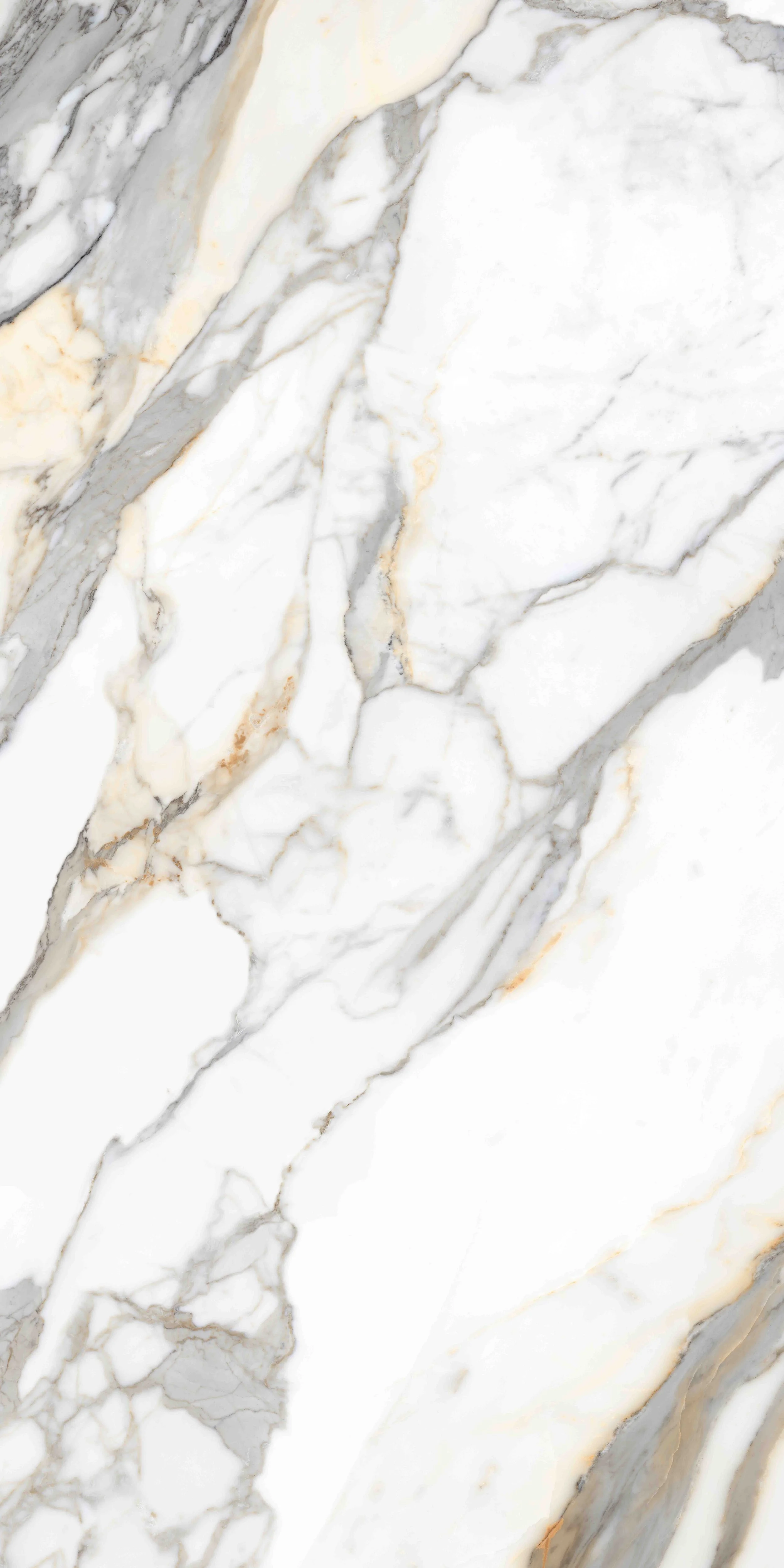 STATUARIO CLASSICO WHITE — Elina Ceramics