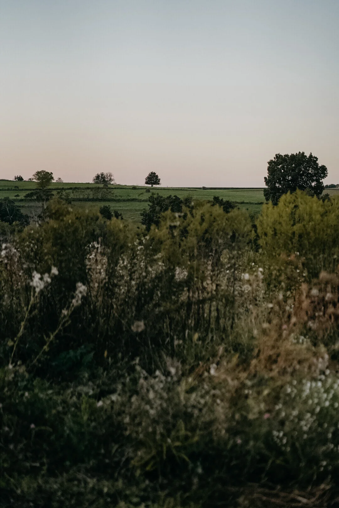 About — Alyson Morgan