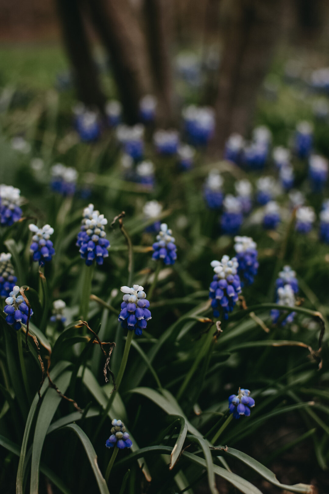 Coming Home to Ourselves | Our Journey to Slow Living — Alyson Morgan