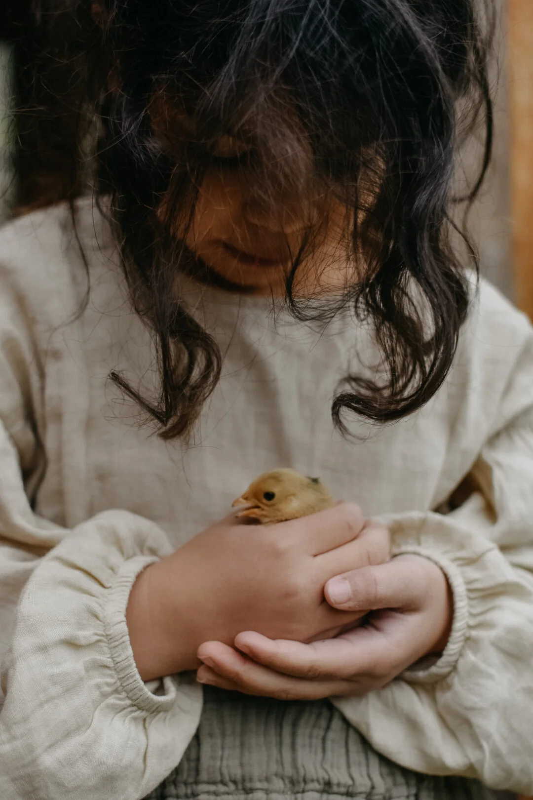 Coming Home to Ourselves | Our Journey to Slow Living — Alyson Morgan