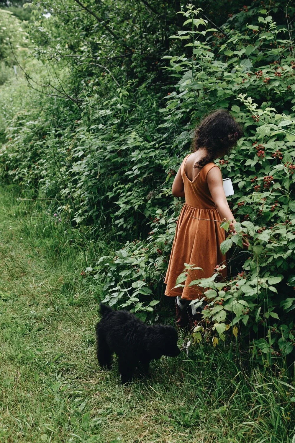 Tastes of Summer | Black Cap Jam | Forage, Harvest, Eat — Alyson Morgan