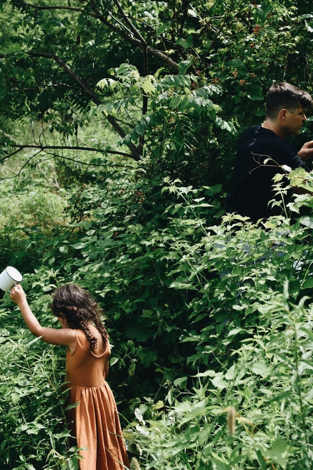 Tastes of Summer | Black Cap Jam | Forage, Harvest, Eat — Alyson Morgan