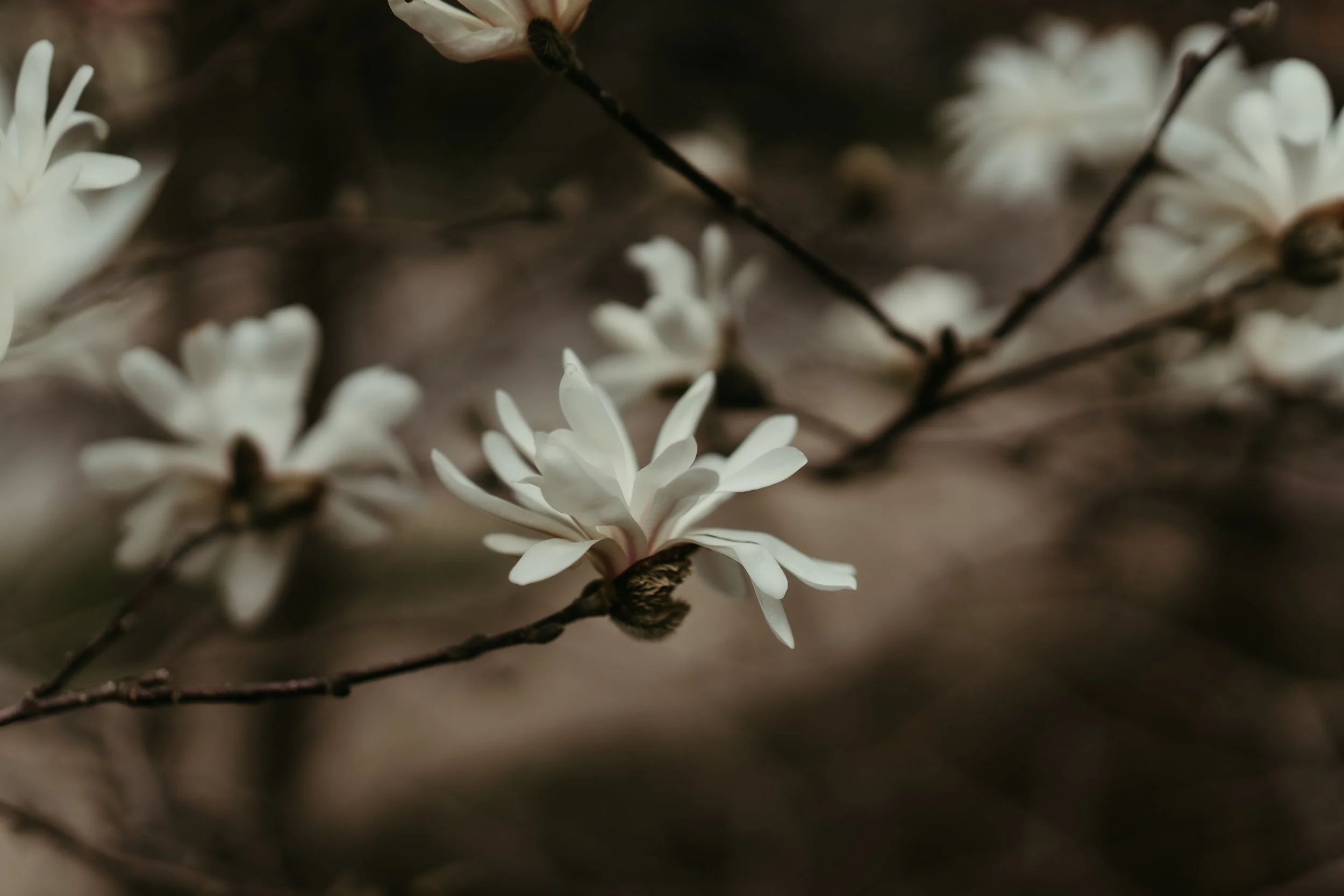 Store 2 — Alyson Morgan