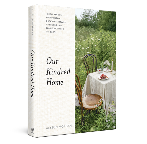 Our Kindred Home Book — Alyson Morgan