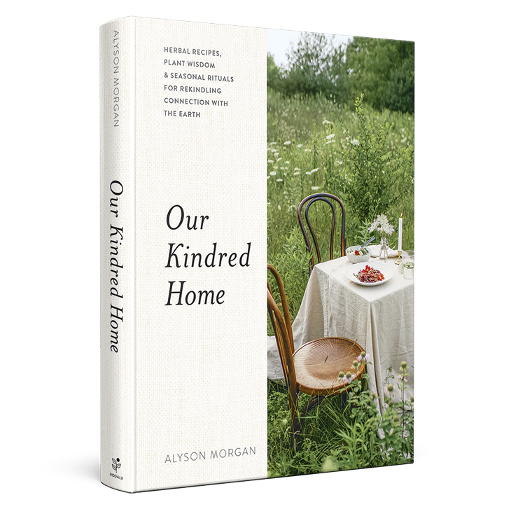 Our Kindred Home Book — Alyson Morgan