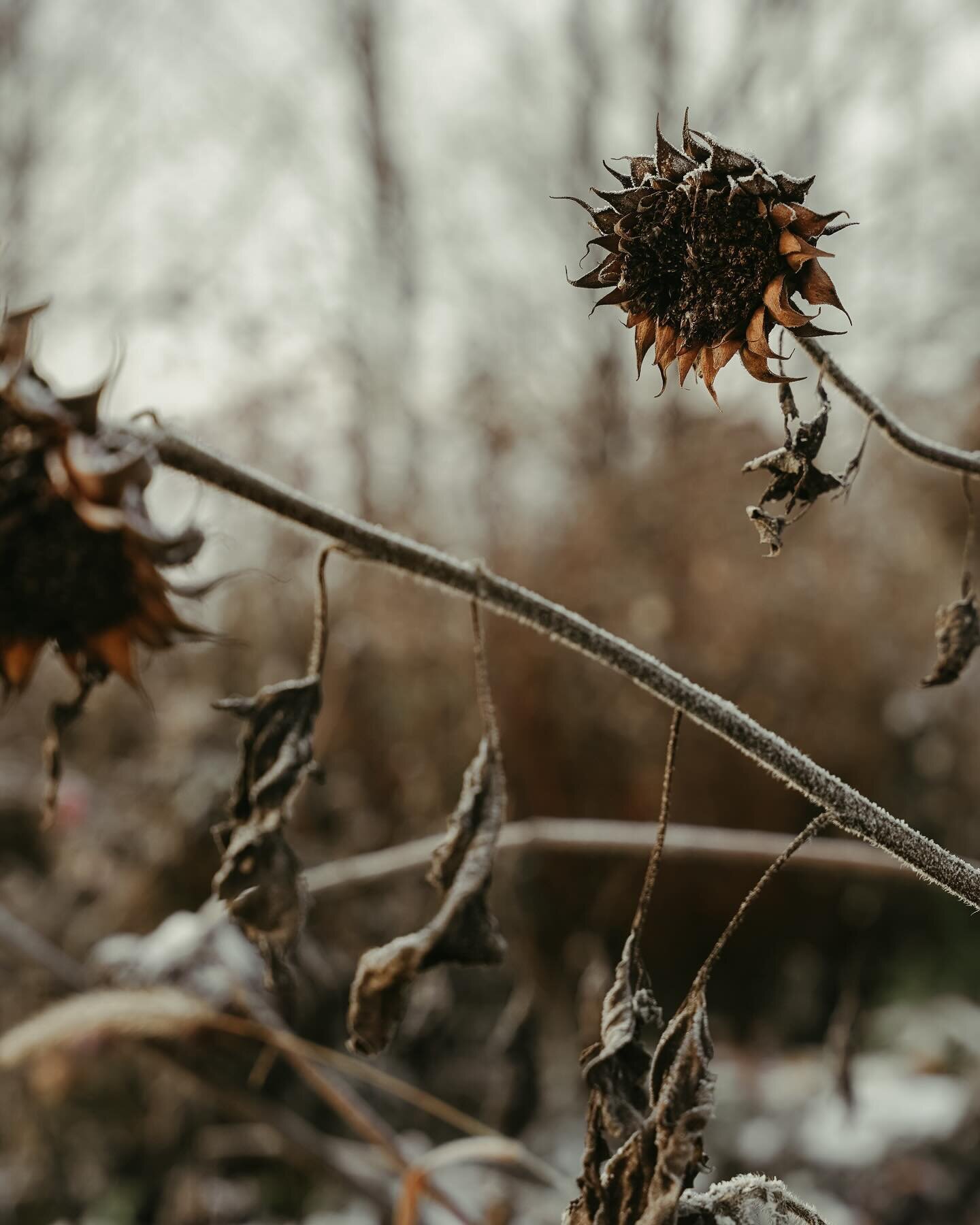 Store 2 — Alyson Morgan