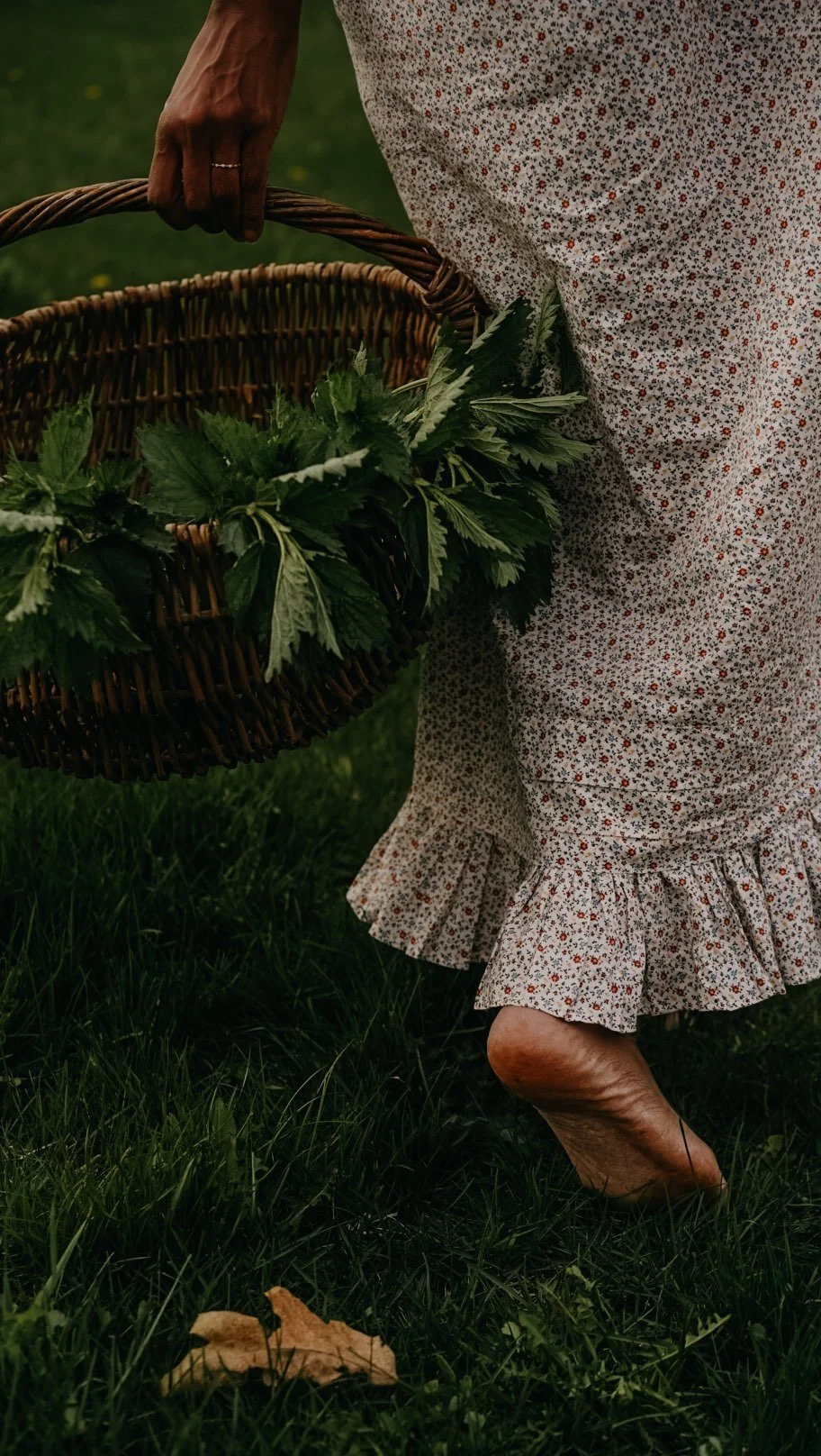 end of summer | canning — Alyson Morgan