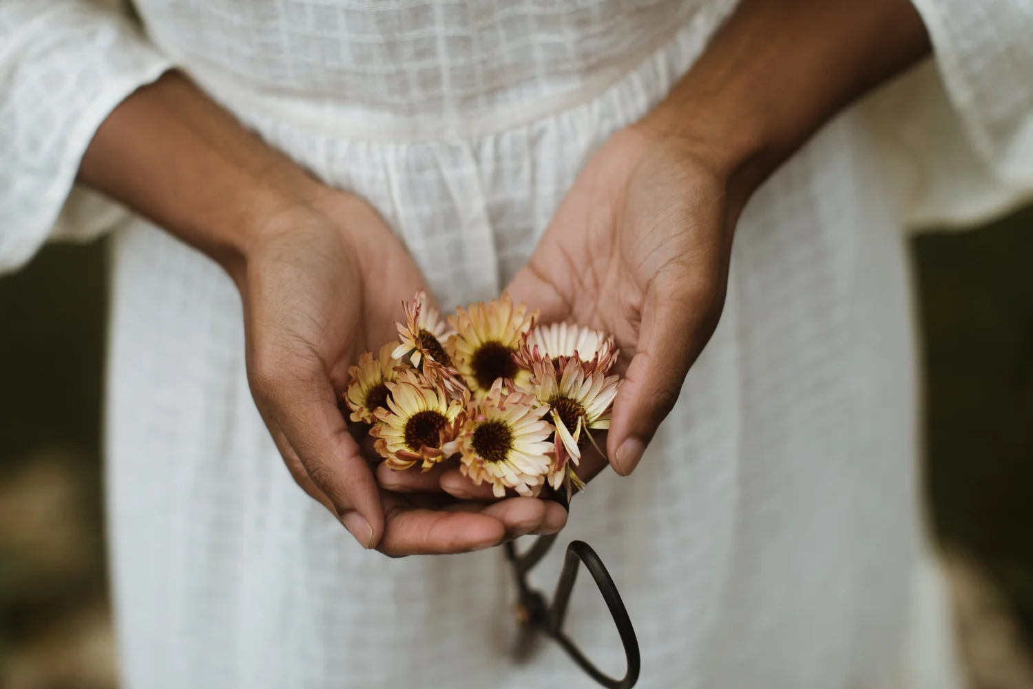 Contact — Alyson Morgan