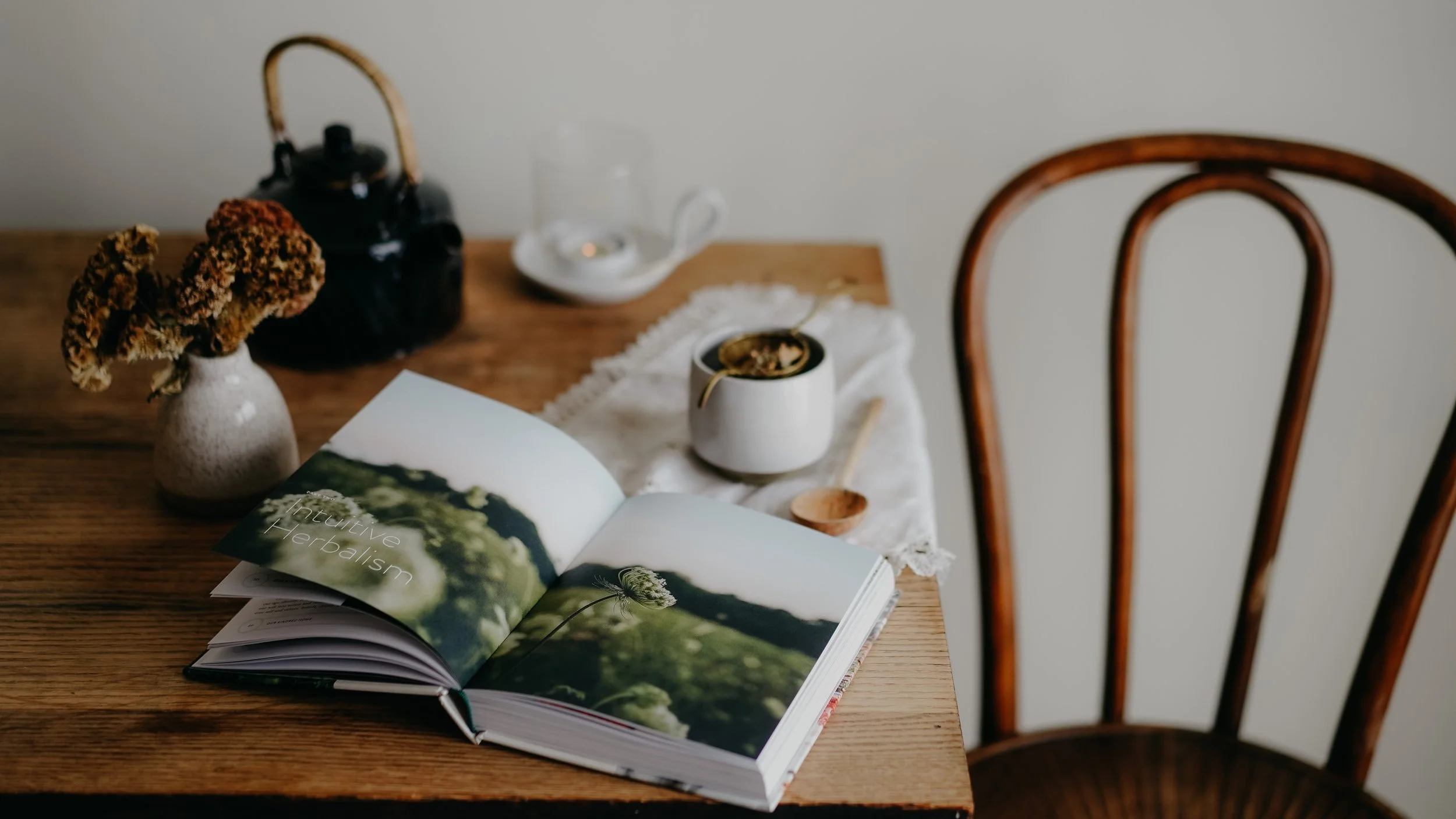 Our Kindred Home Book — Alyson Morgan