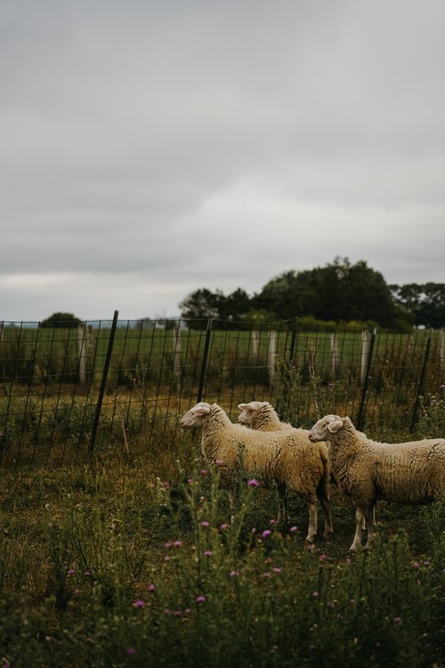 somewhere in late august — Alyson Morgan