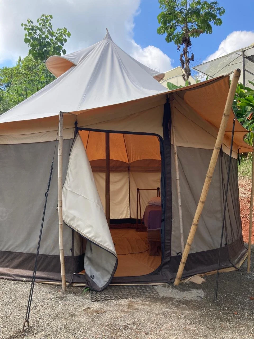 Service Program — HOLOS