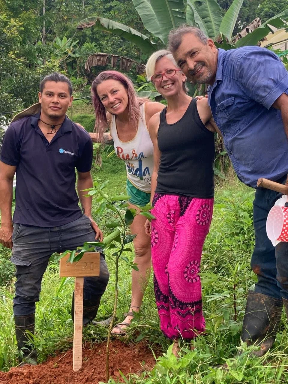 Service Program — HOLOS