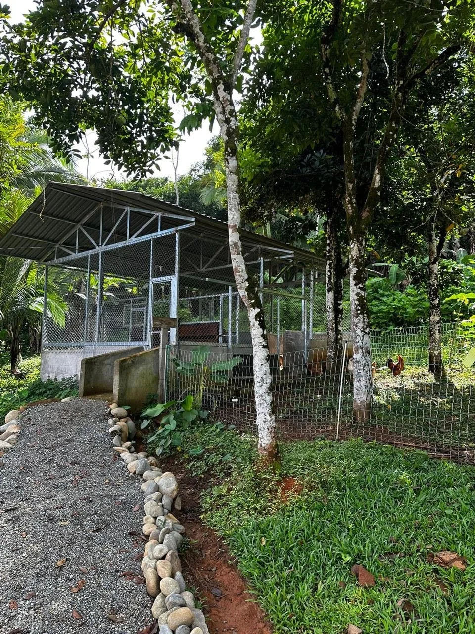 Service Program — HOLOS