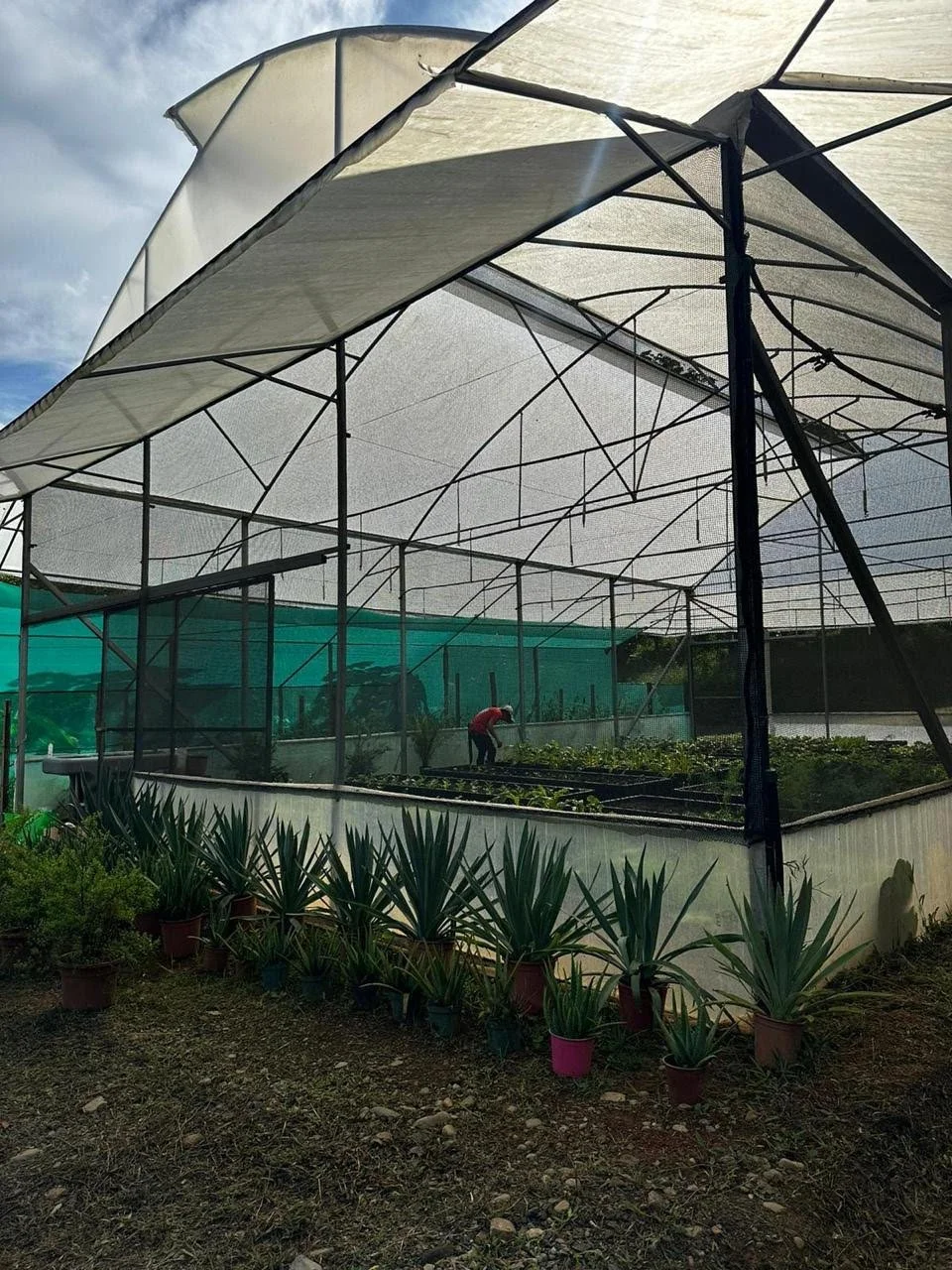 Service Program — HOLOS