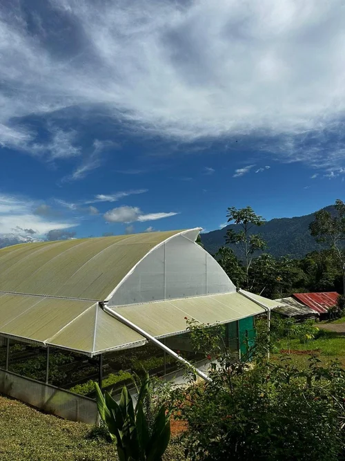 Service Program — HOLOS