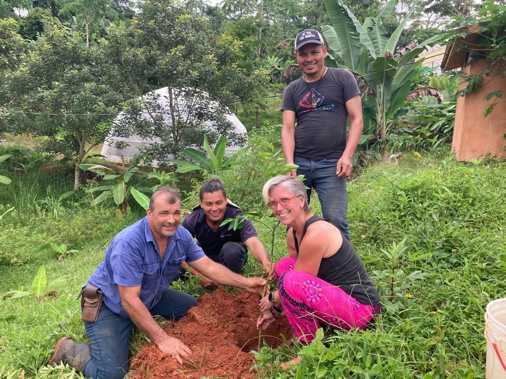 Service Program — HOLOS