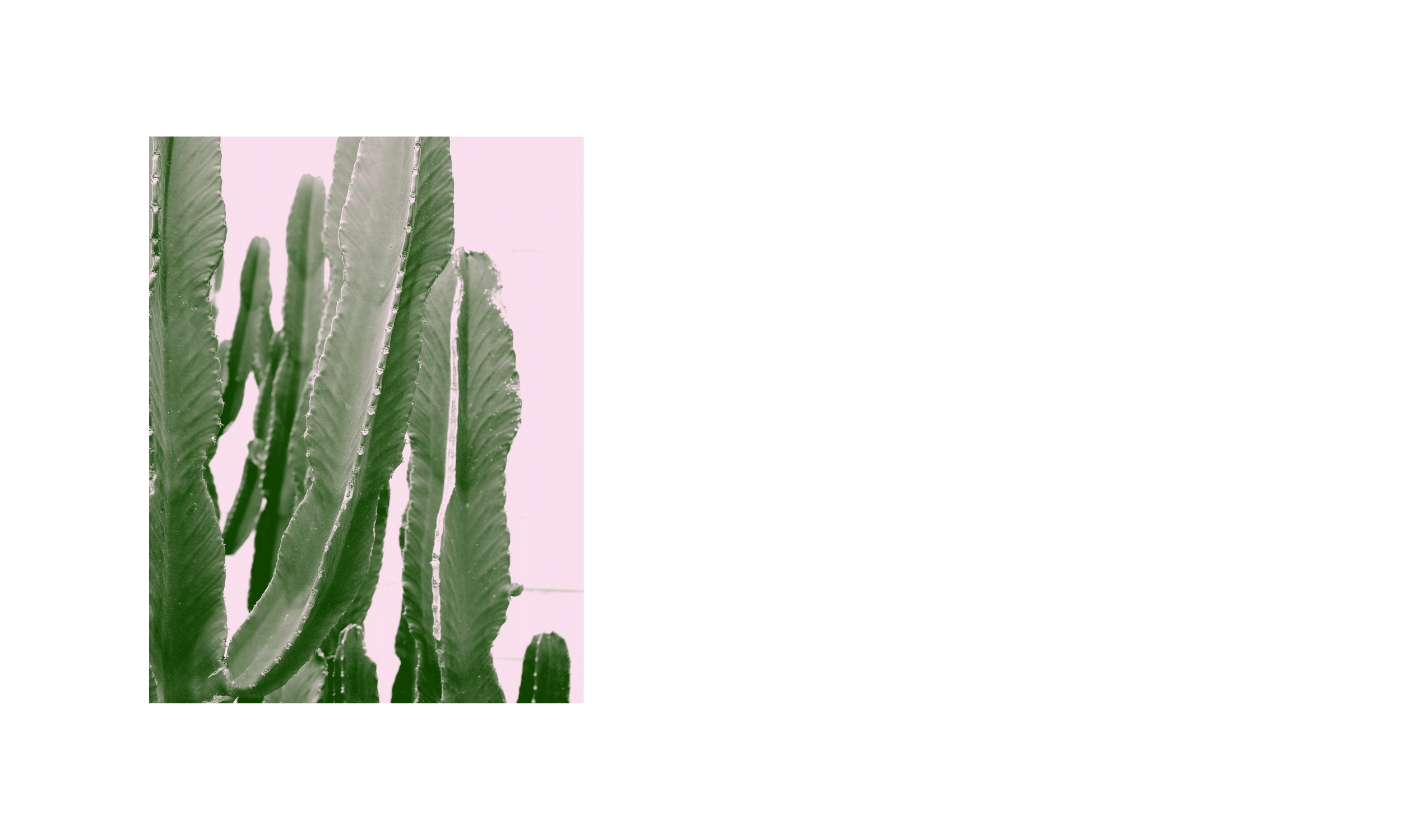 LYBY Boutique: Love Yourself Be Yourself