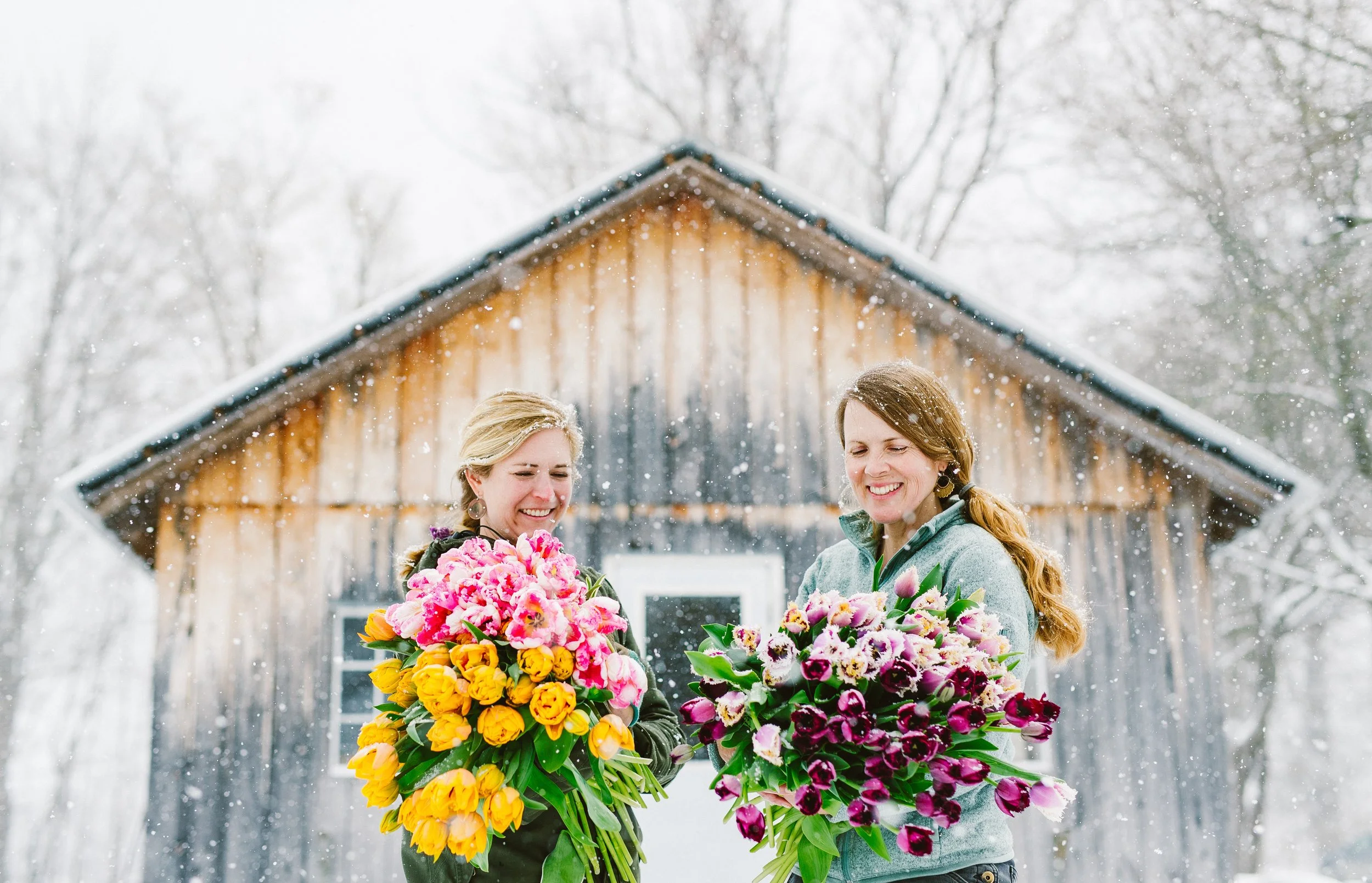 Join The Tulip Workshop Online Course The Tulip Workshop