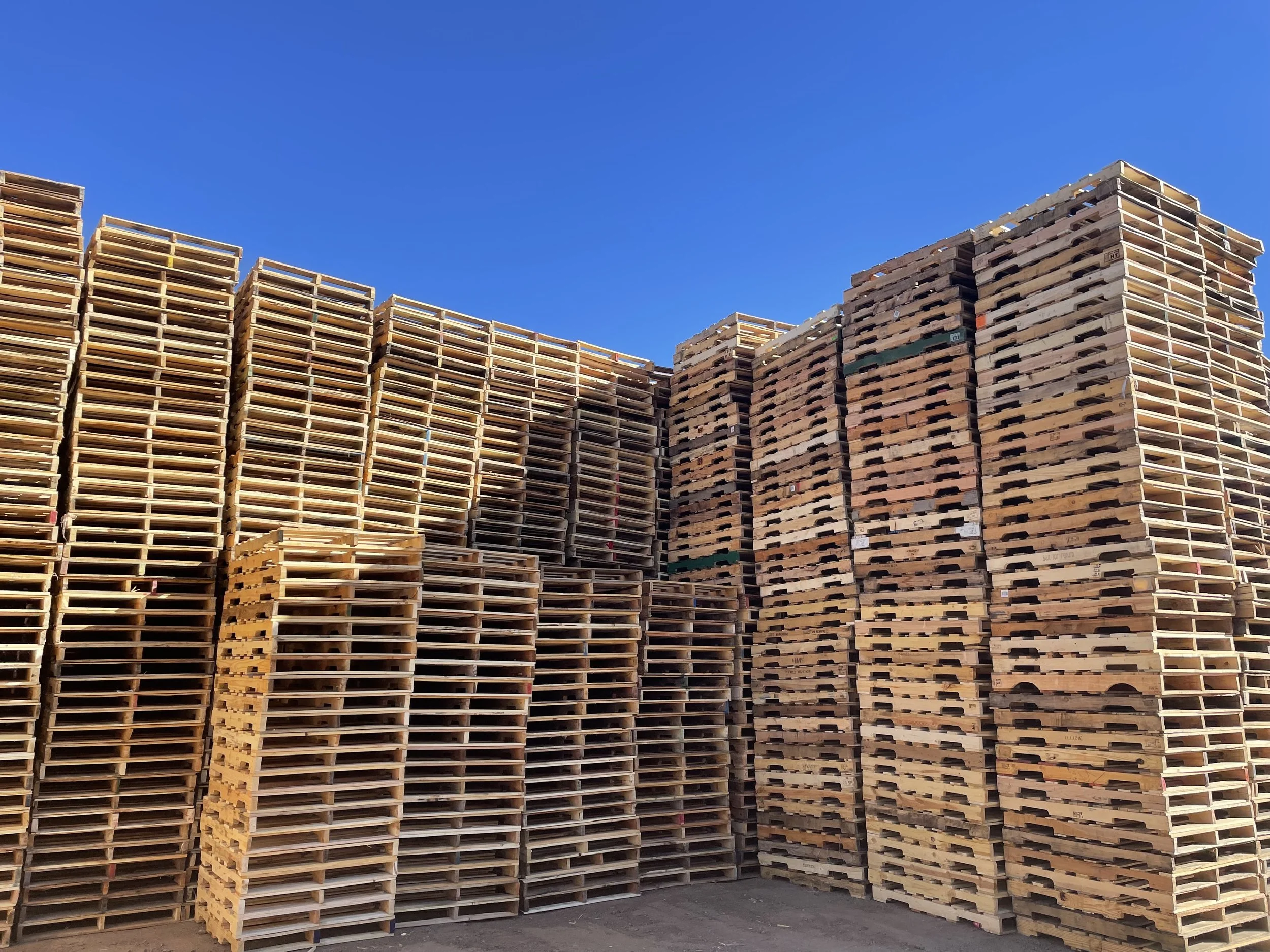 Raya Pallets