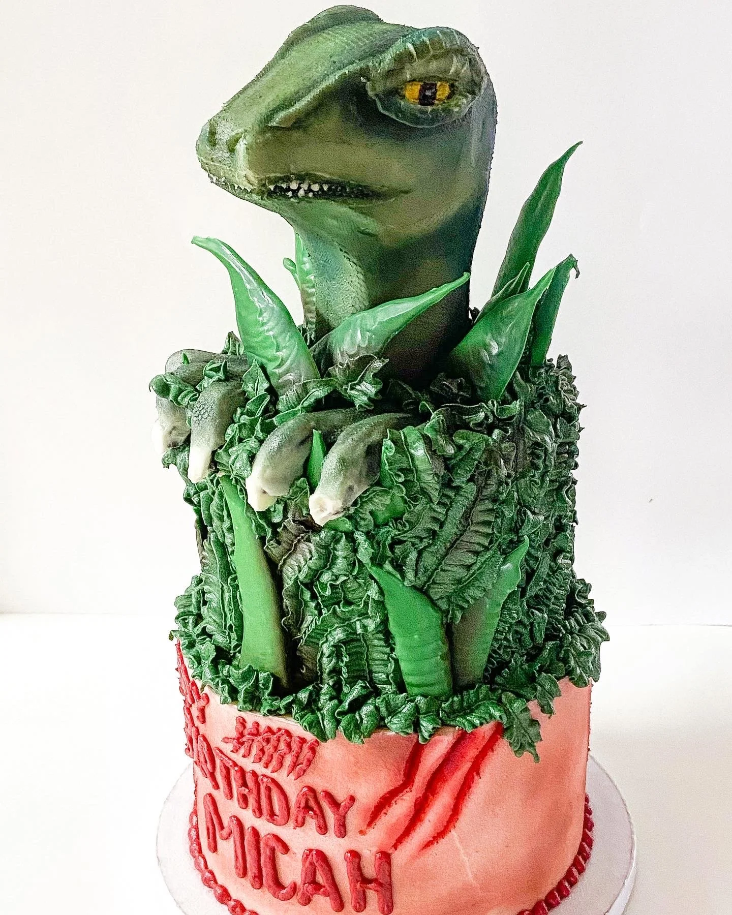 Custom Cakes Gallery | Reignbow Baking Co.