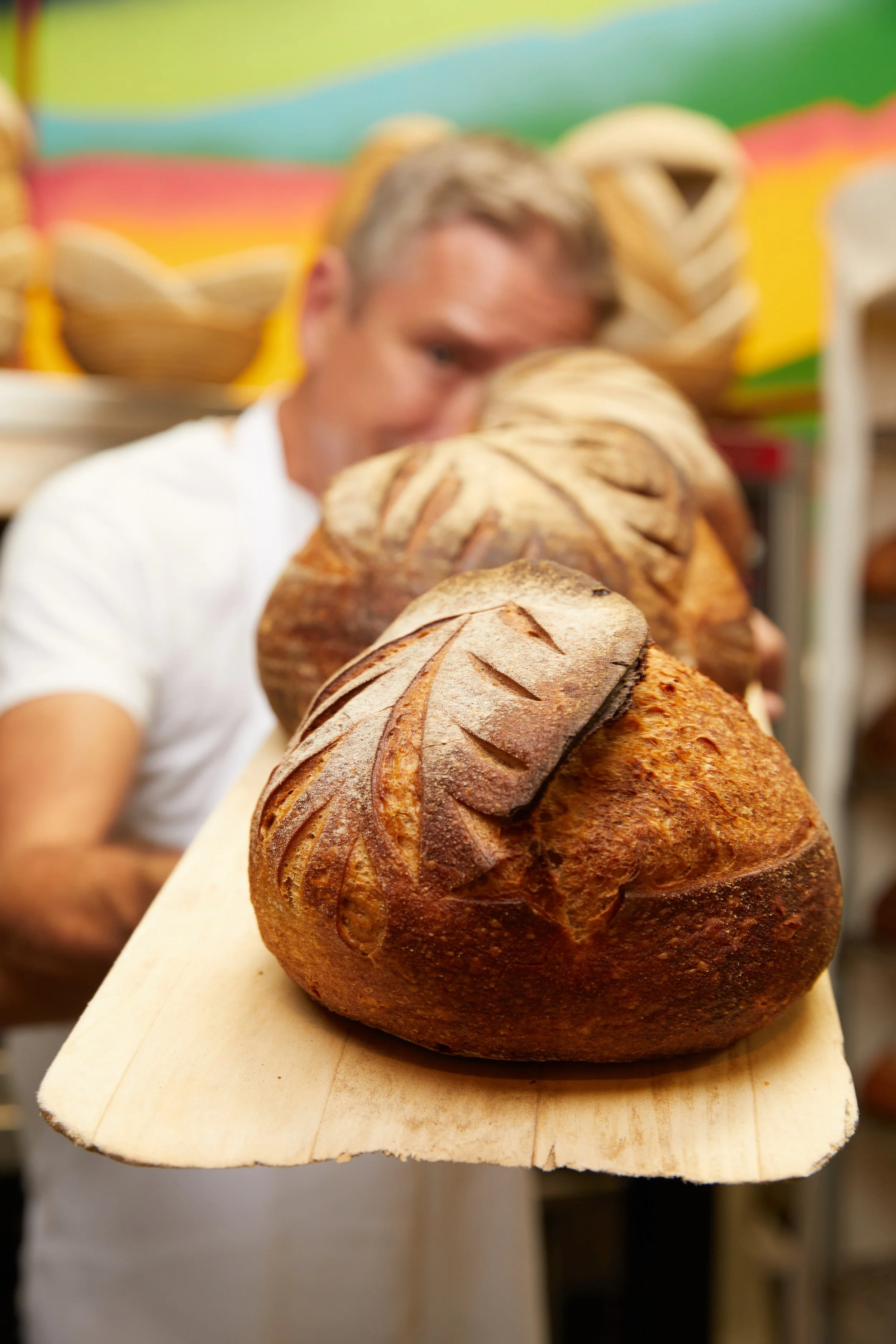 ROTIE BREAD — OJAI ROTIE