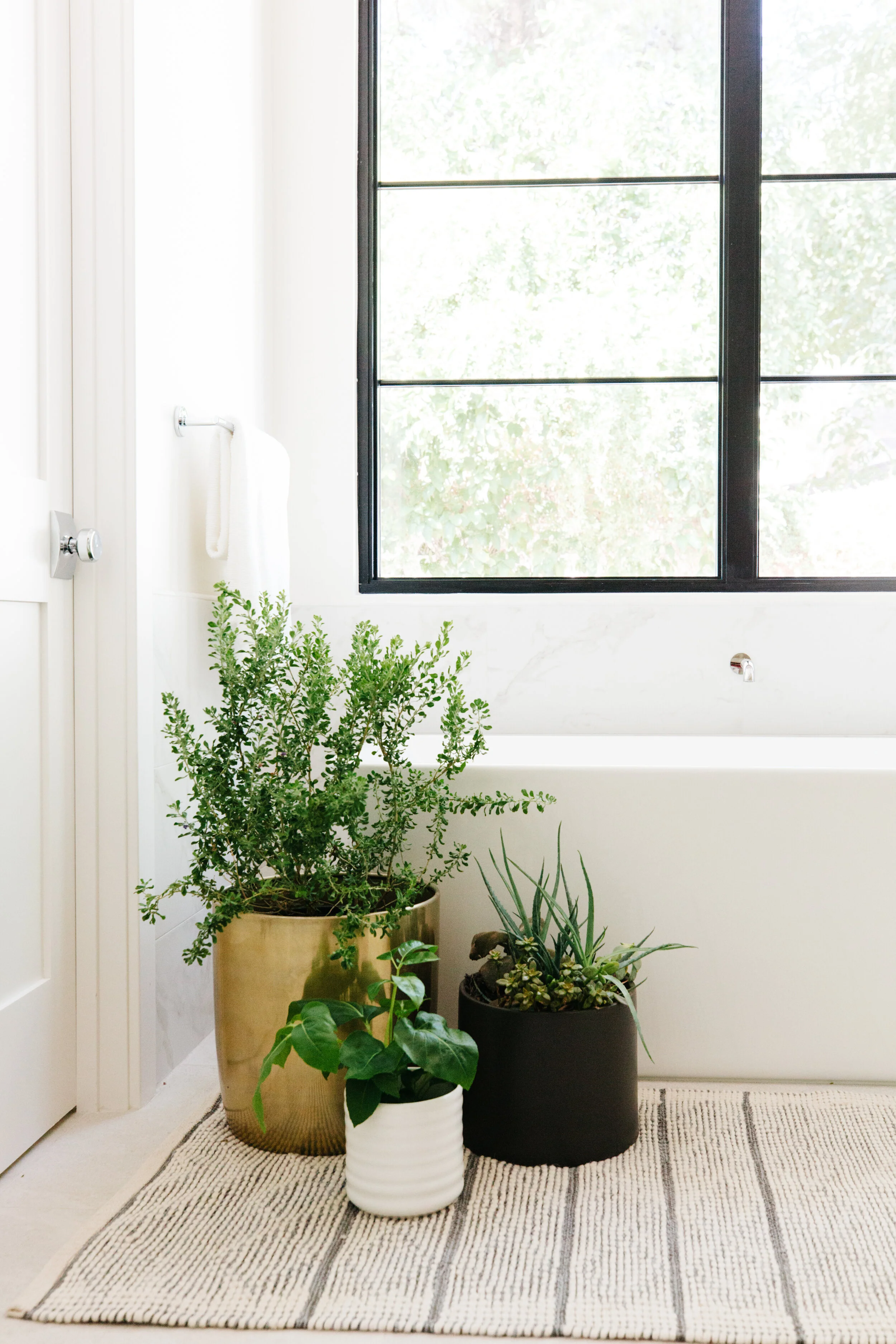 8 Spring Design Trends for 2020 — Lexi Grace Design