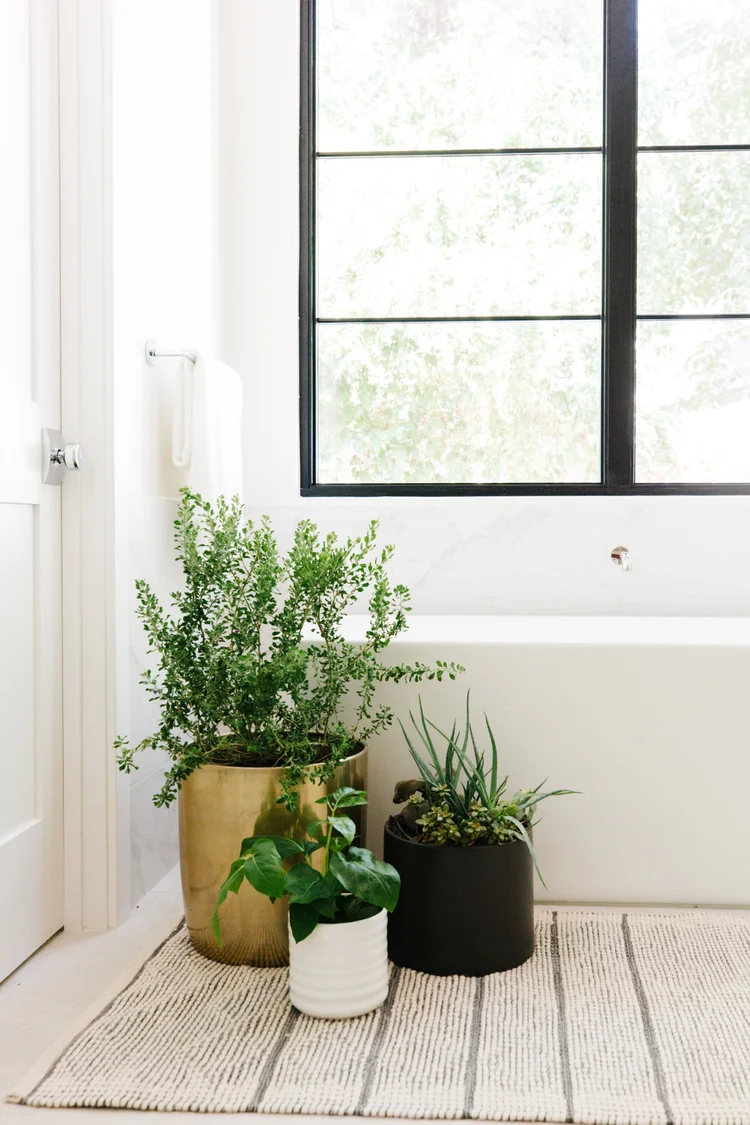 8 Spring Design Trends for 2020 — Lexi Grace Design