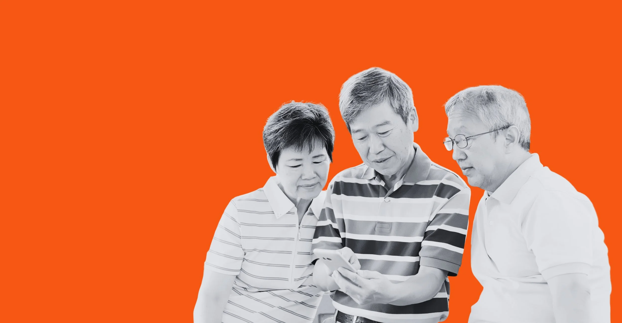 Access to Information and Services — BIPT