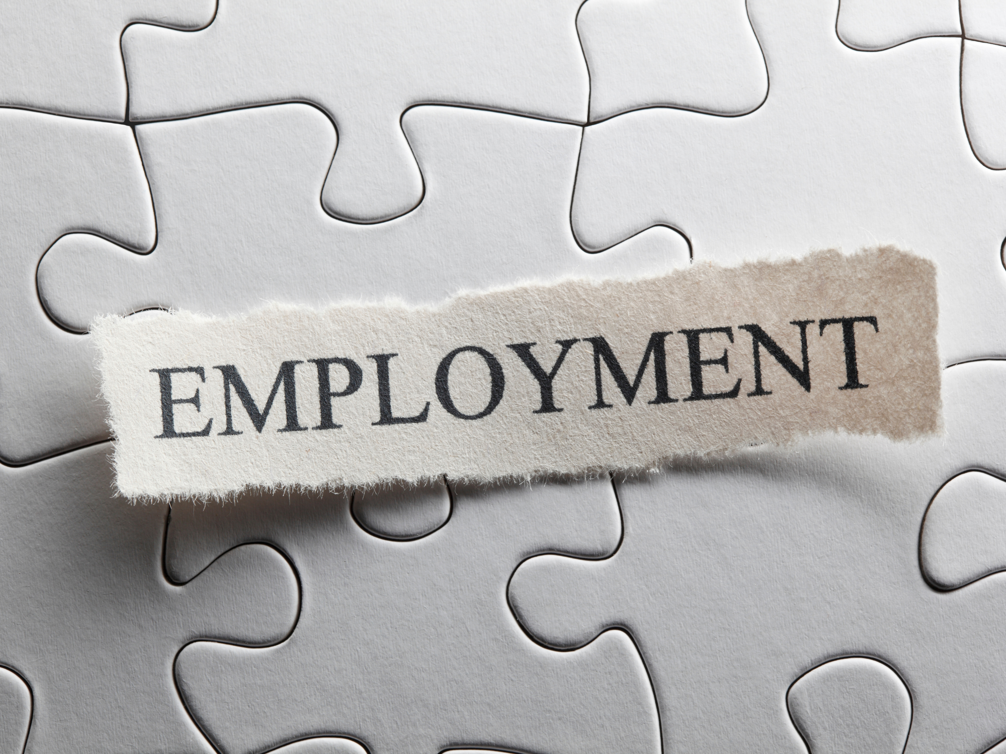 Employment and Education — BIPT