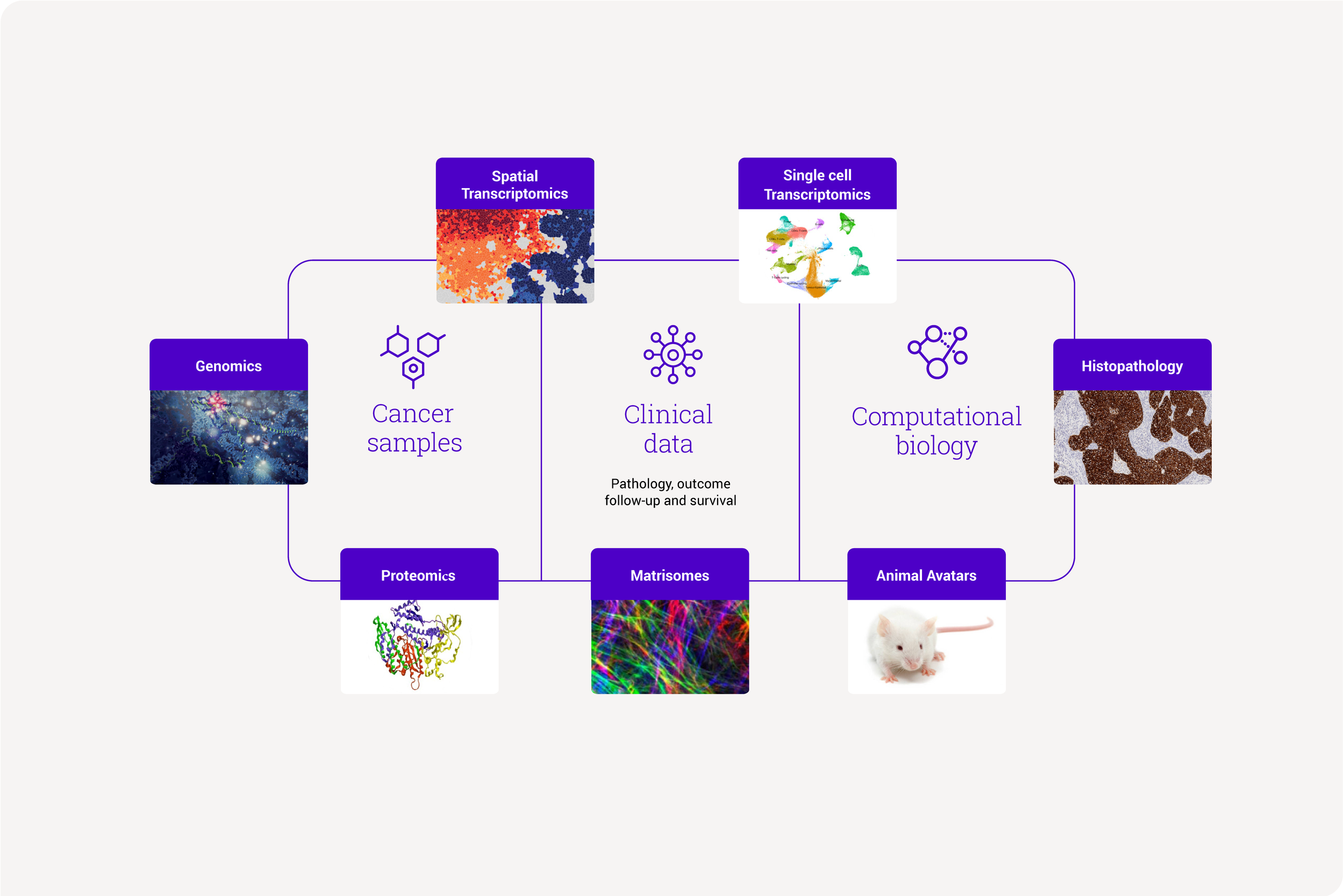 The Breast Cancer Atlas Consortium — Swarbrick Lab