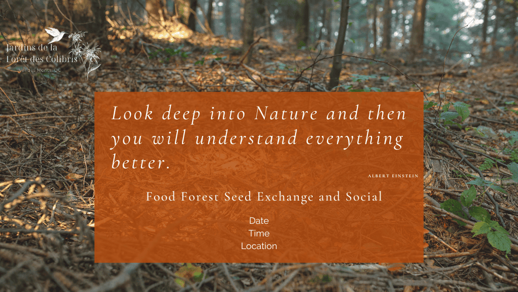 How to Organize a Seed-Sharing Event | Elle Odyn