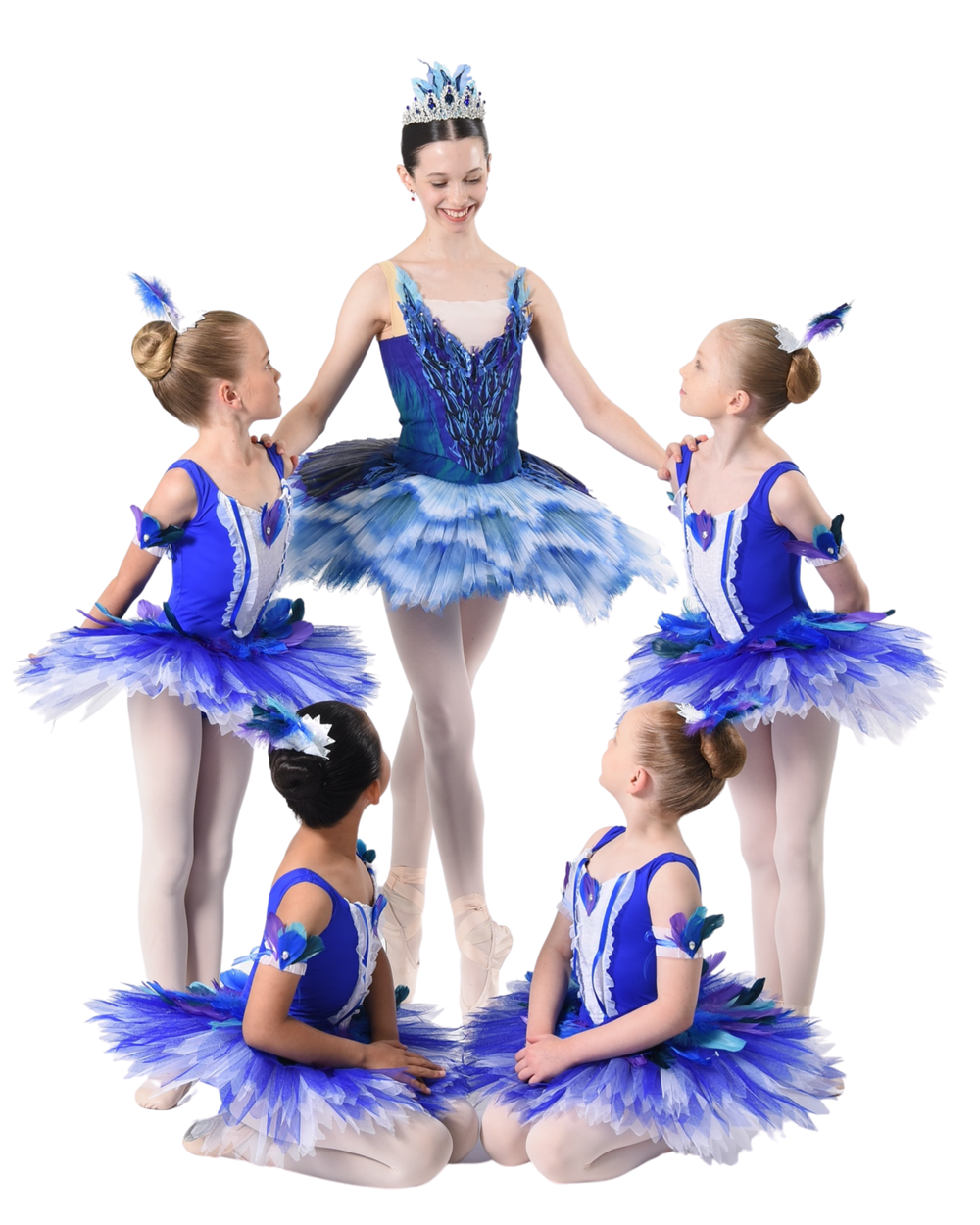 Contact — Brisbane City Youth Ballet