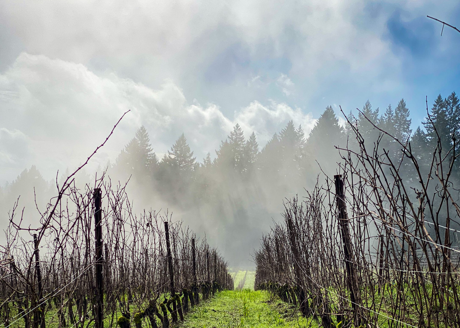 Monterey Bay Wine Company