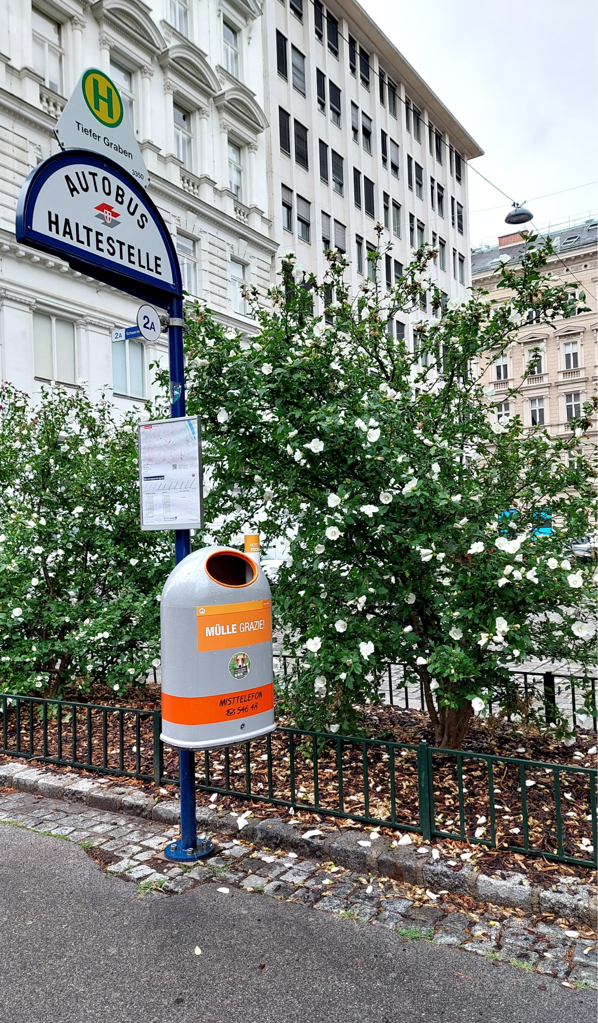 Why blind people in Vienna hate trashcans — Laura Wissiak