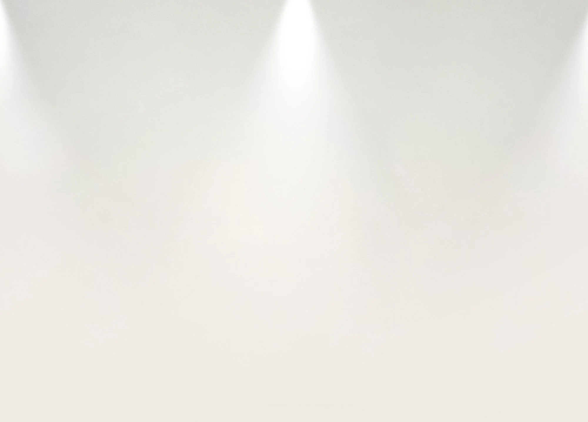 Menu 1 — Ian Rayer-Smith