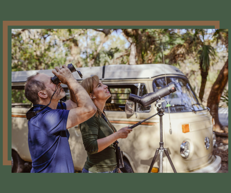 Birding By Bus