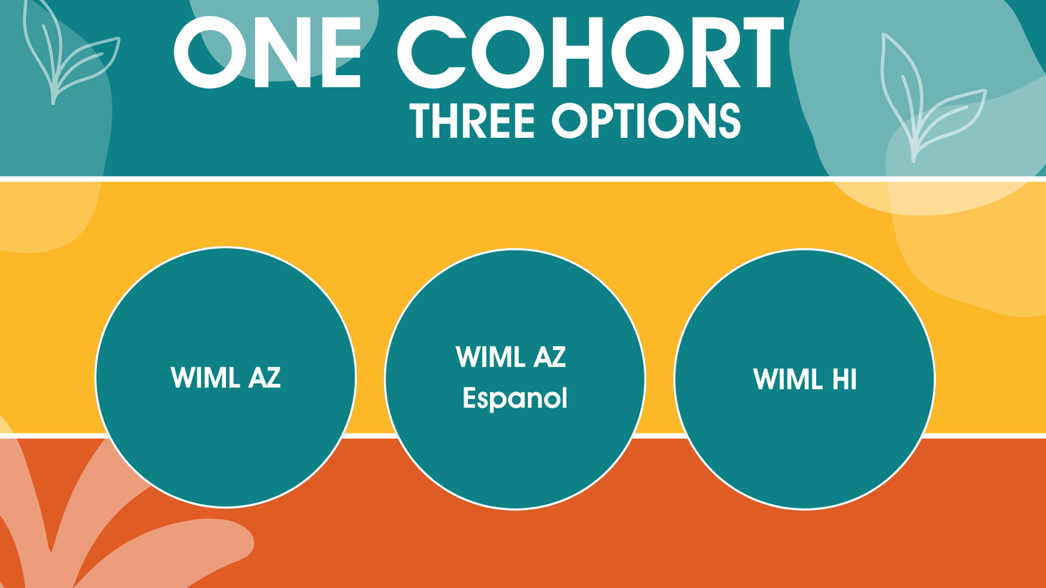 Cohort English — WIML