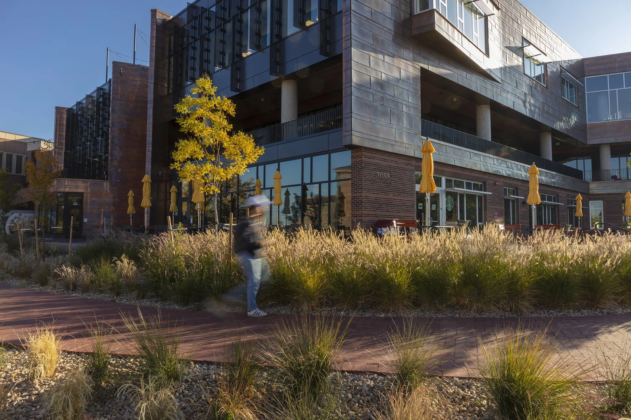 University of Denver Advantage projects — Didier Design Studio ...