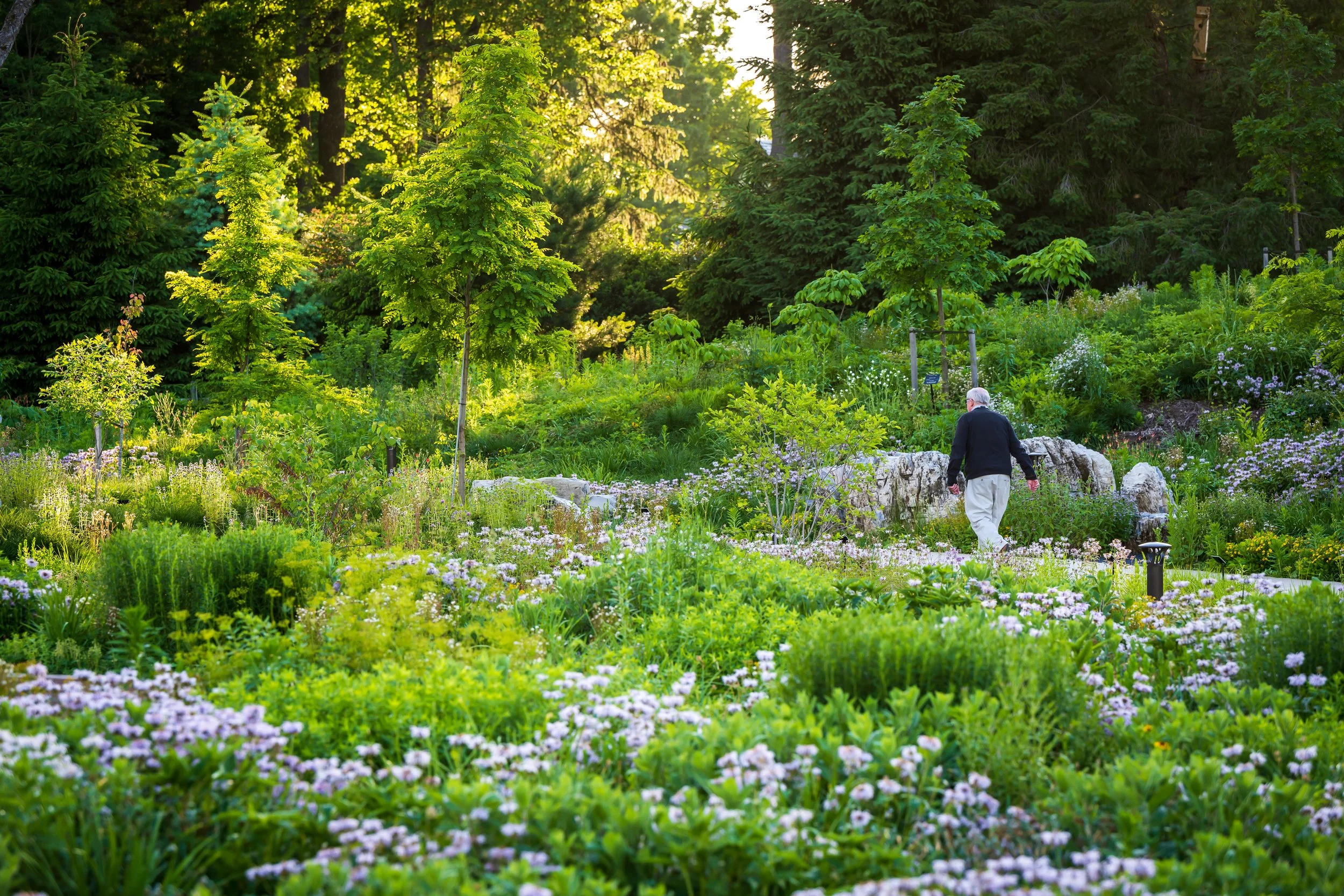 Pollinators and Bird Garden at Penn State — Didier Design Studio ...