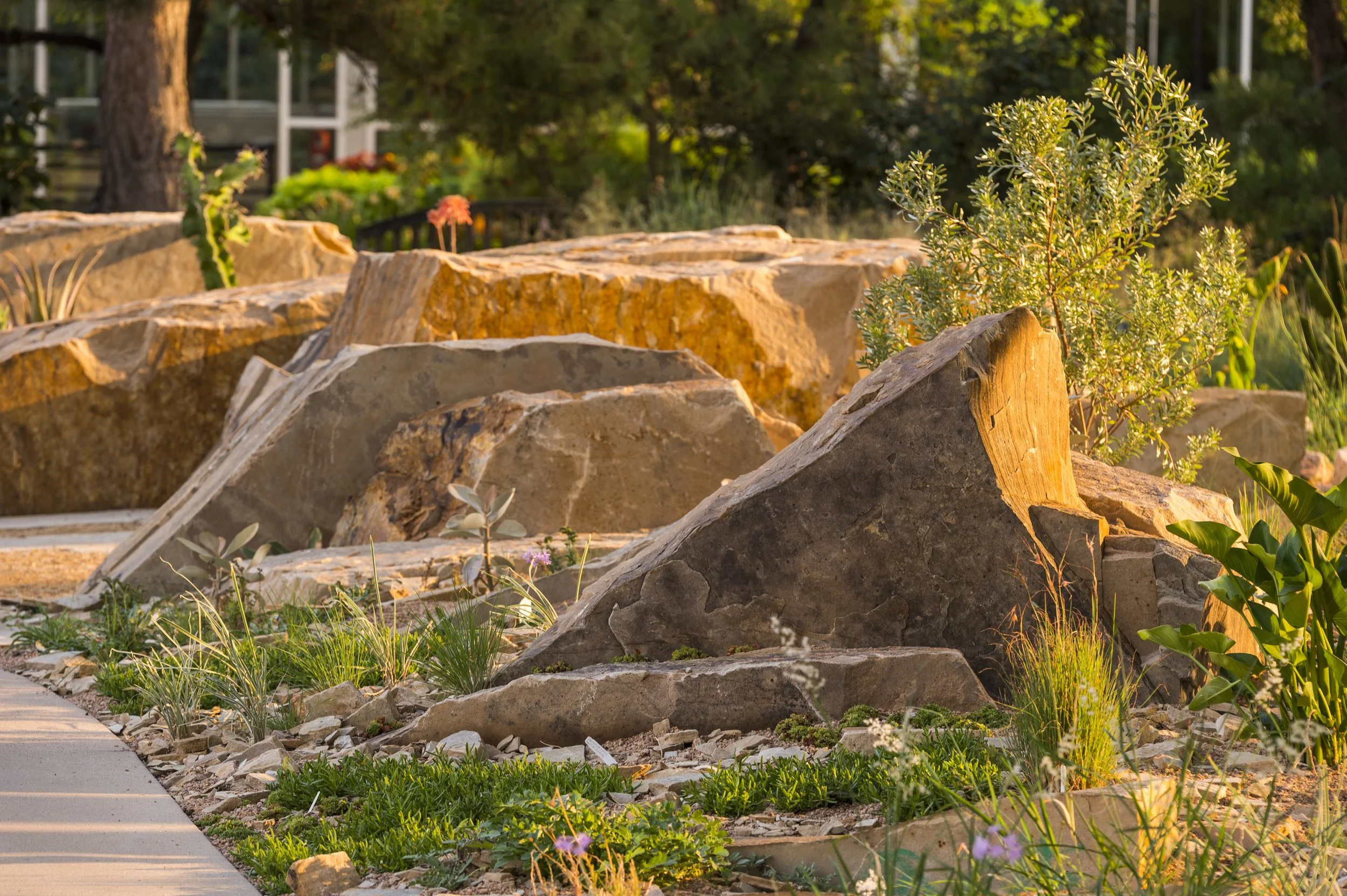 Steppe Garden at the Denver Botanic Gardens — Didier Design Studio ...